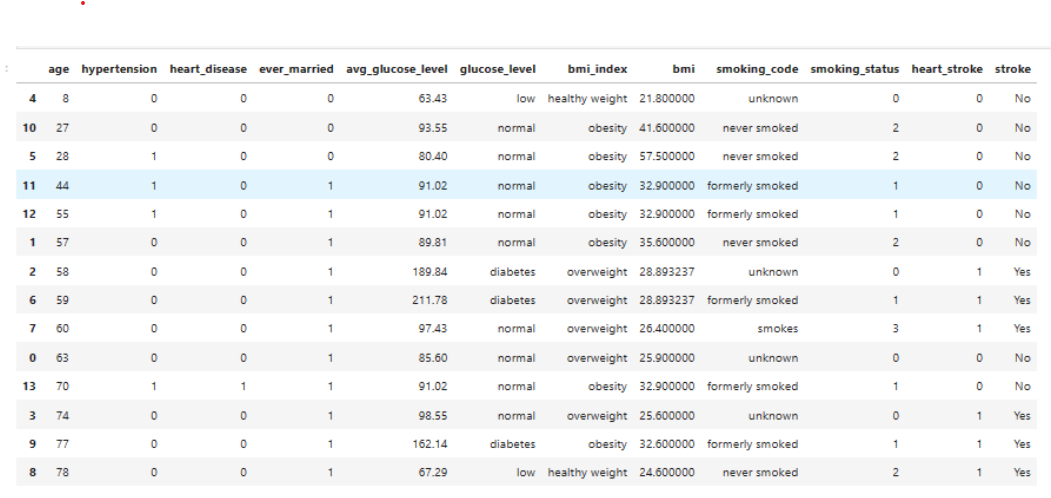 Ischemic Stroke Detection using Machine Learning - My Portfolio